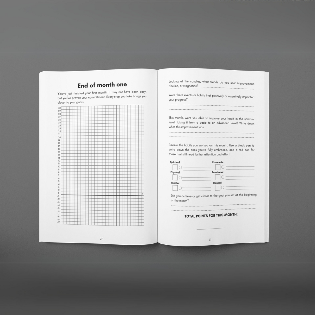 MISSION 30 - 3 Month guided system - self improvement – ELLORA TECH